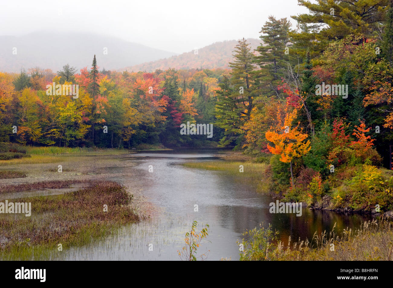 A small stream in the Adirondack Mountains with fall foliage color in ...