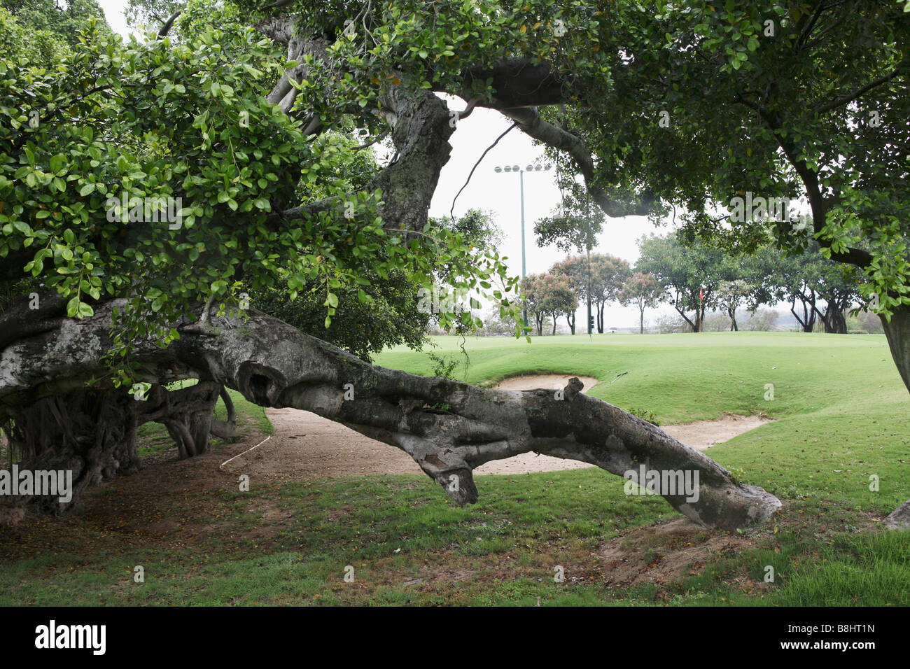 When in the course hi-res stock photography and images - Alamy