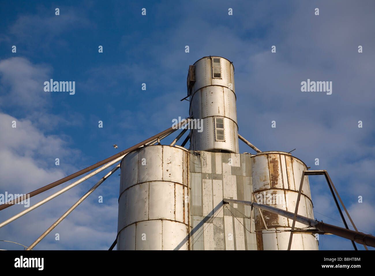 Silo of tree hi-res stock photography and images - Alamy