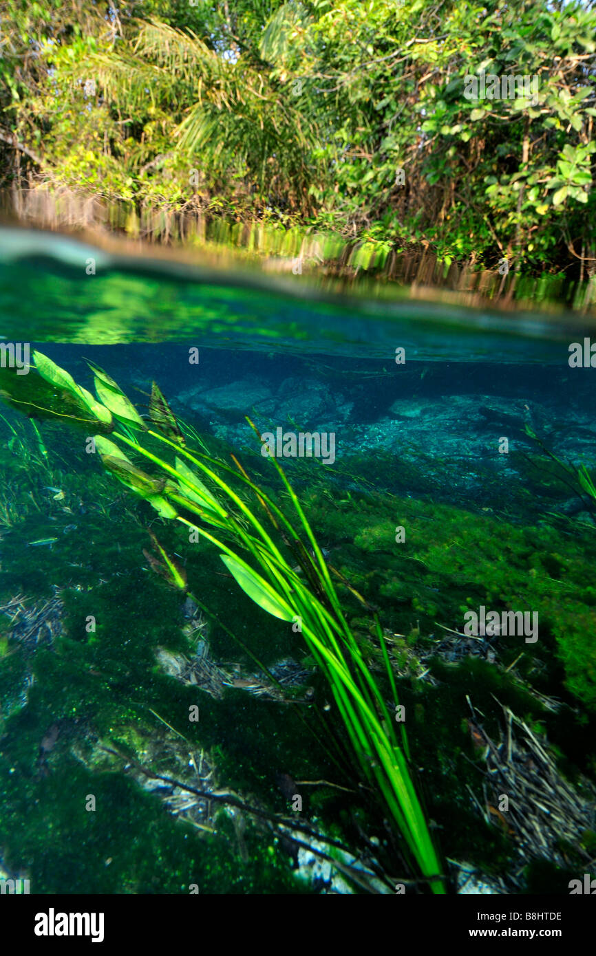 Above bellow image hi-res stock photography and images - Alamy