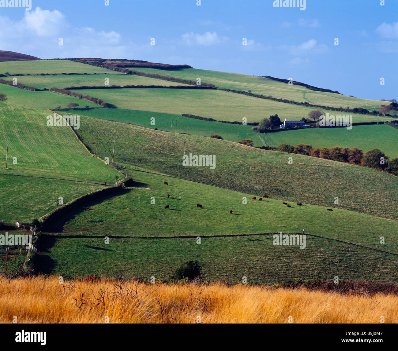Porlock hill hi-res stock photography and images - Alamy