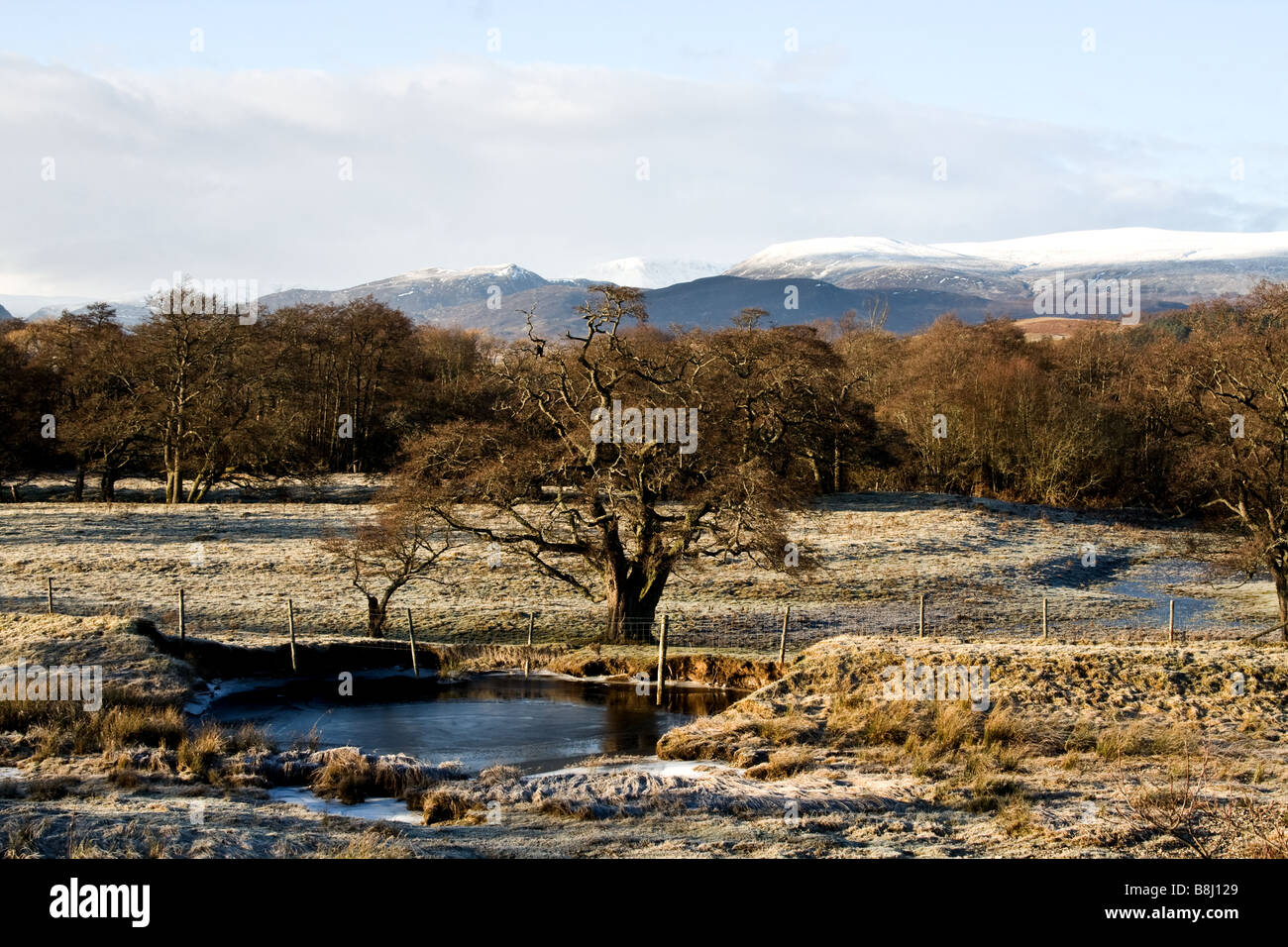 Small frozen loch in the Highlands of Scotland Stock Photo - Alamy