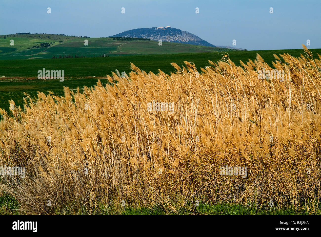mt tabor as seen from the valley floor Stock Photo - Alamy