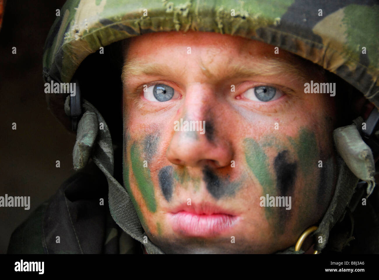 Royal anglian regiment hi-res stock photography and images - Alamy