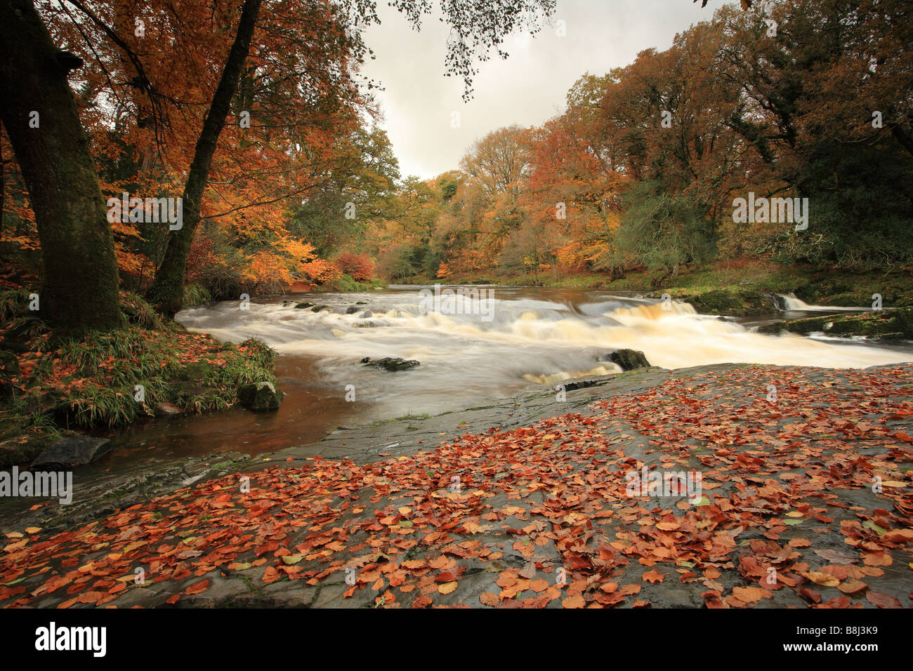 Walking dartmoor rain hi-res stock photography and images - Alamy