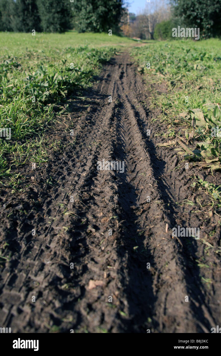 many bike tyre tracks crossing in mud in field in countryside Stock ...