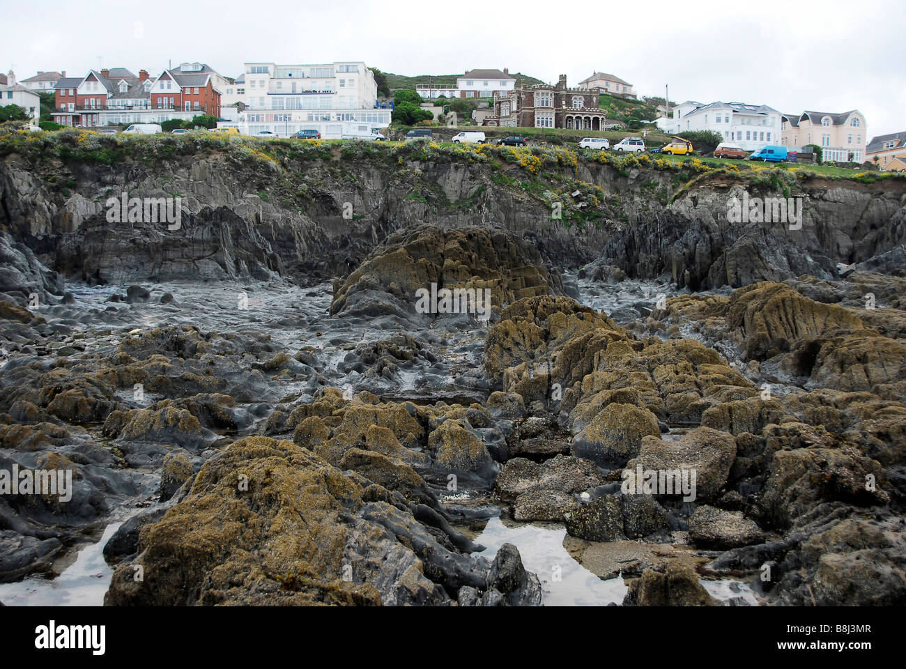 Rock pools on the beach at Woolacombe, North Devon, UK Stock Photo - Alamy