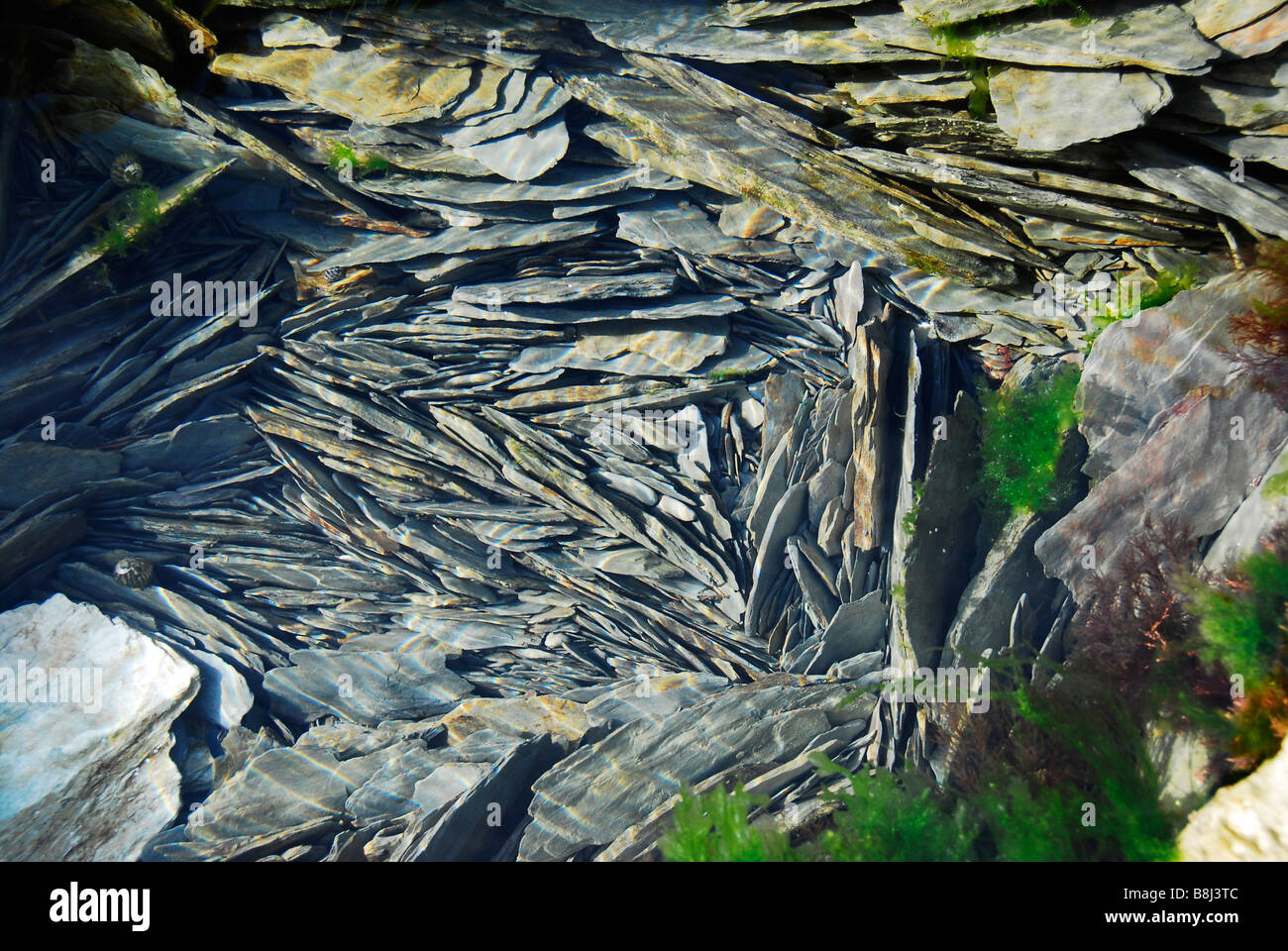 Rock pool in Woolacombe, North Devon, UK Stock Photo - Alamy
