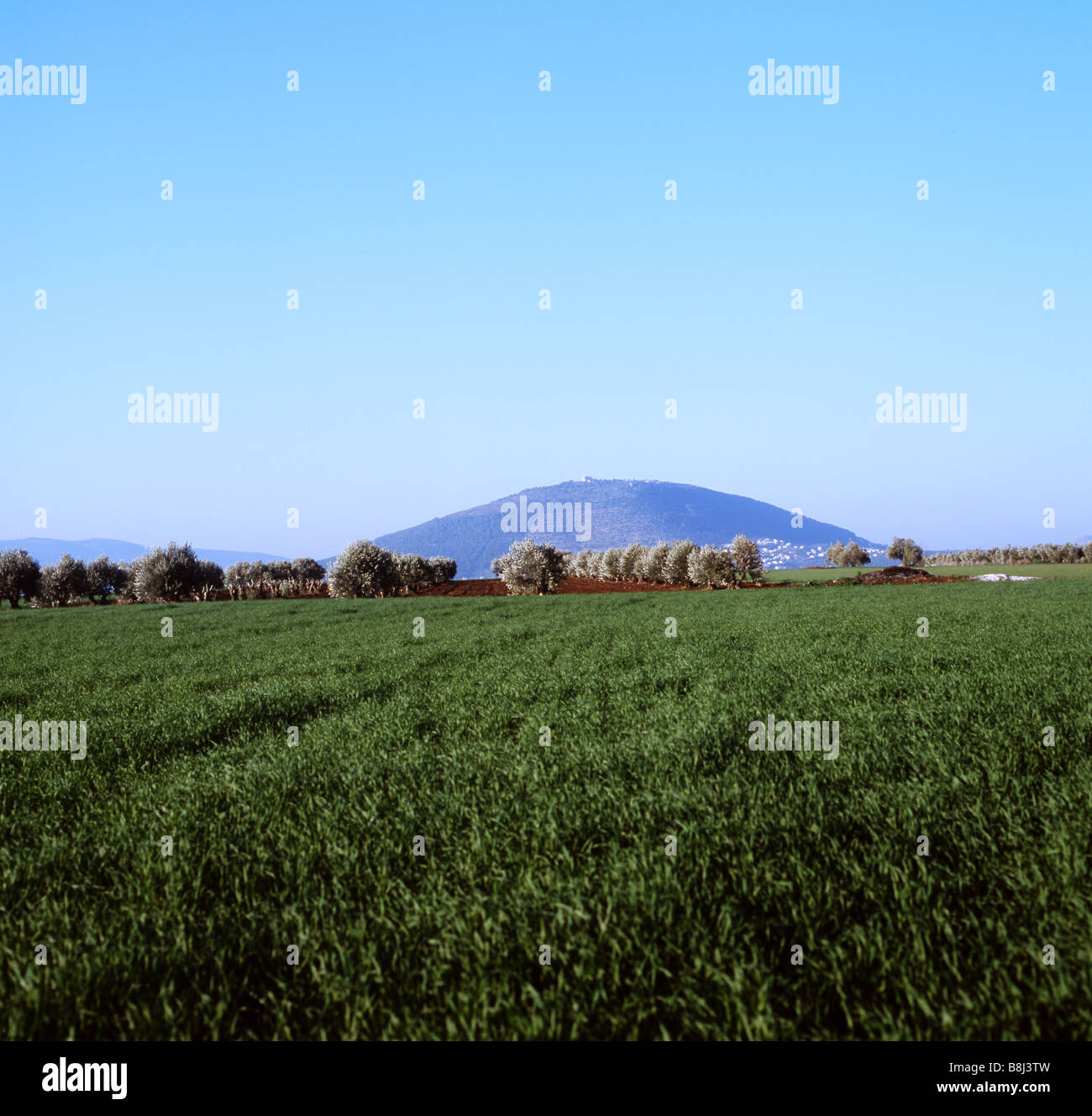 mt tabor as seen from the valley floor Stock Photo - Alamy