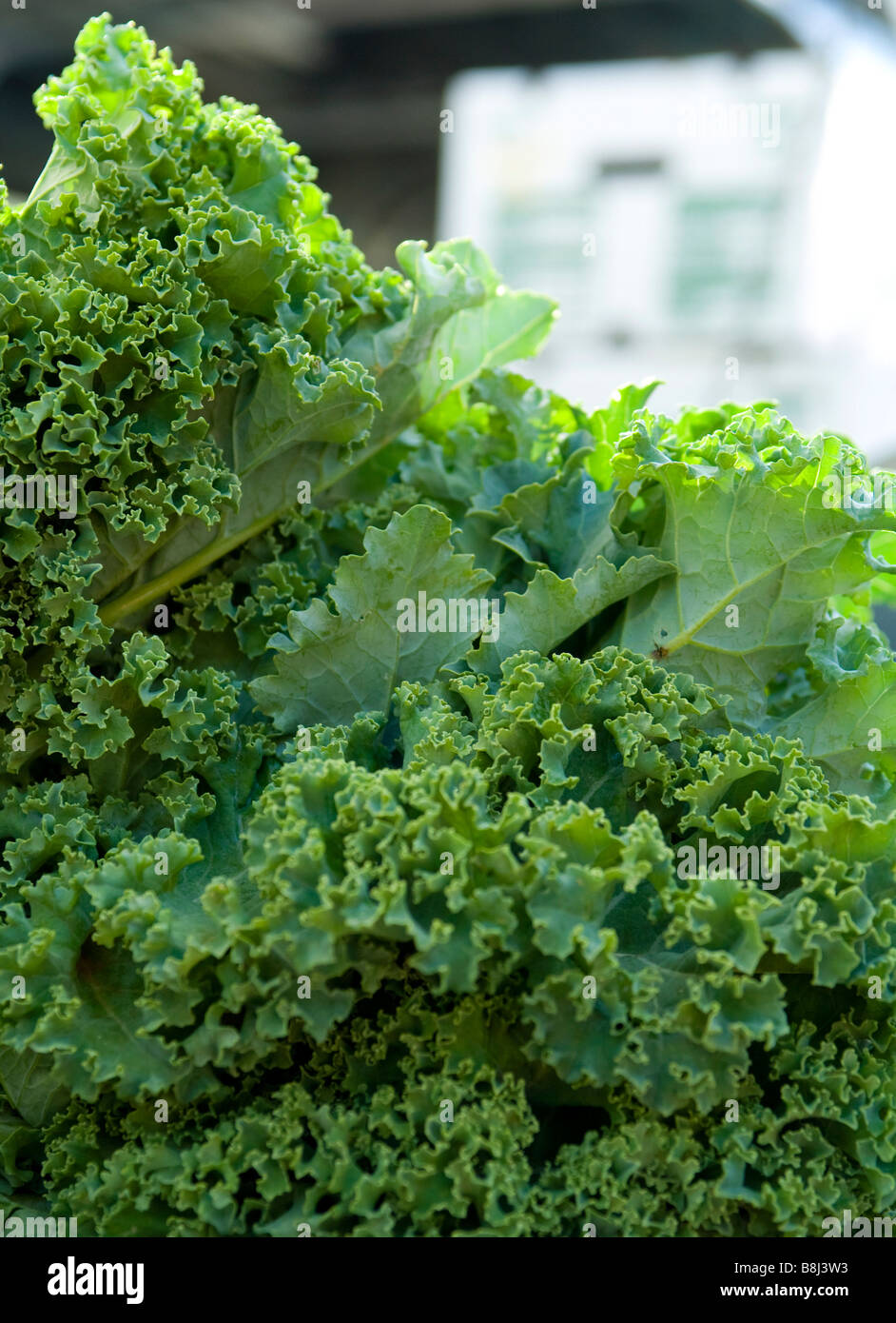 Local produce hi-res stock photography and images - Alamy