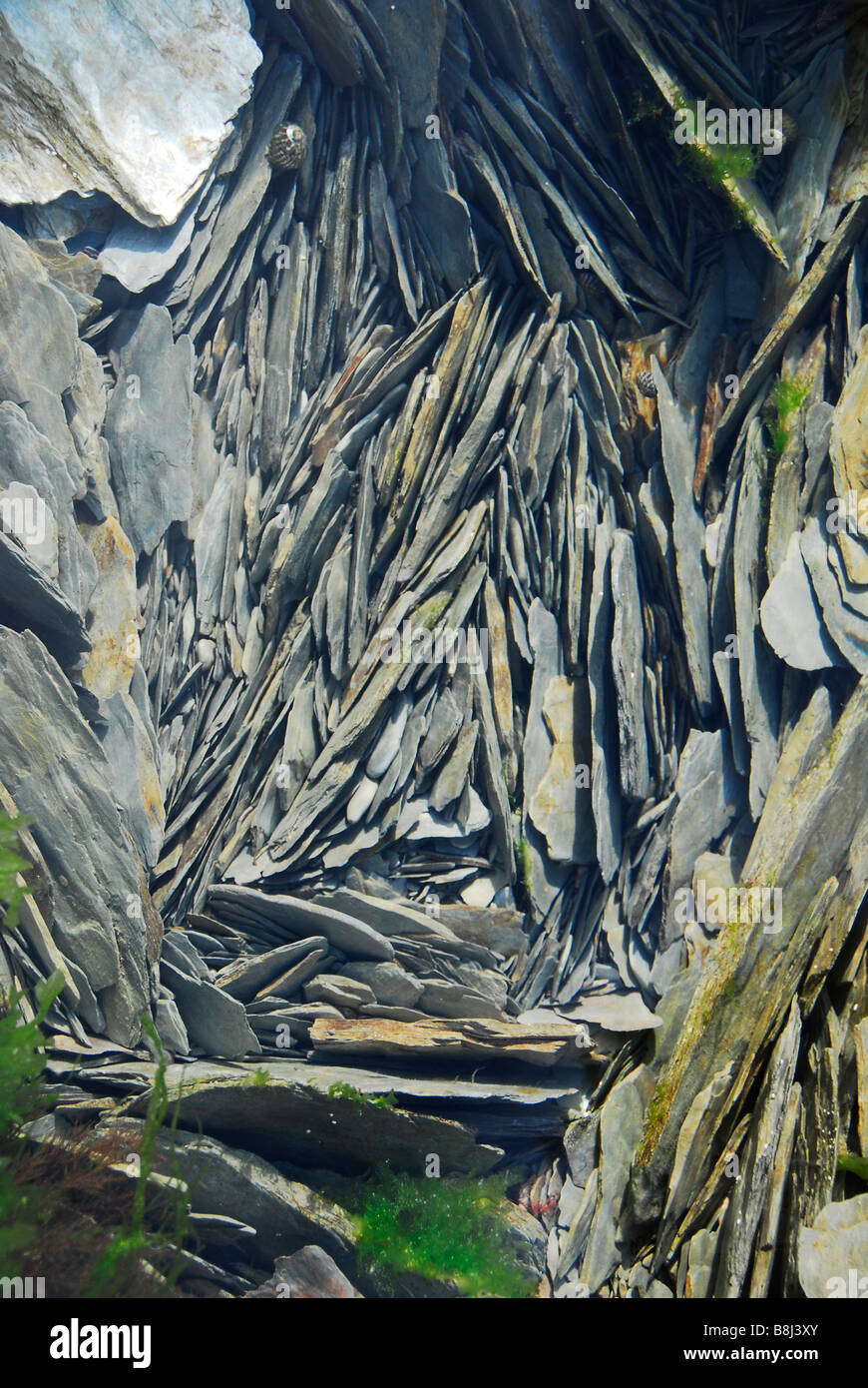 Rock pool in Woolacombe, North Devon, UK Stock Photo - Alamy