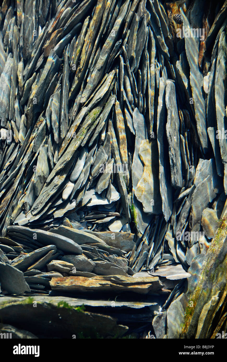 Rock pool in Woolacombe, North Devon, UK Stock Photo - Alamy