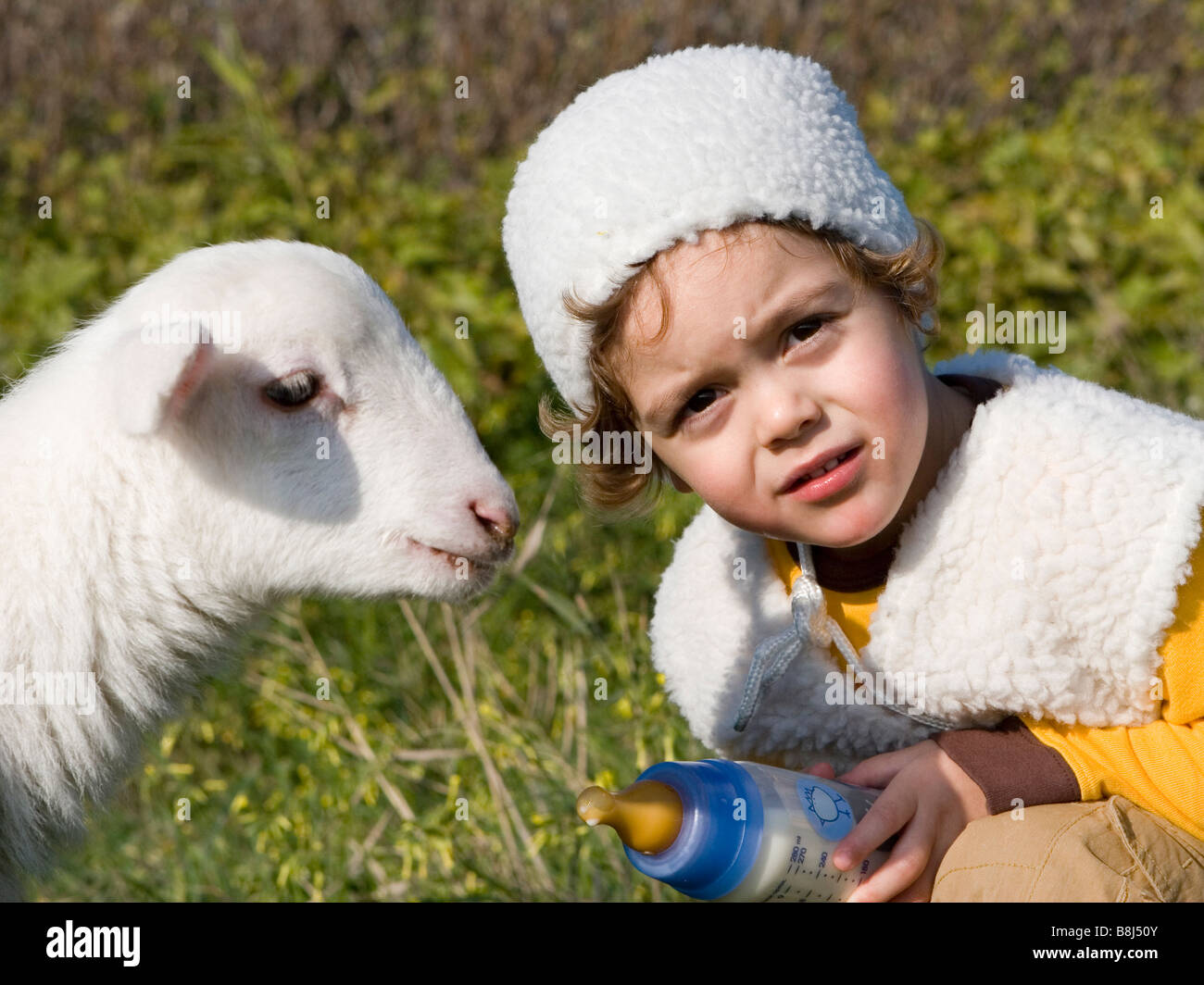 Young boy feeding lamb Stock Photo - Alamy