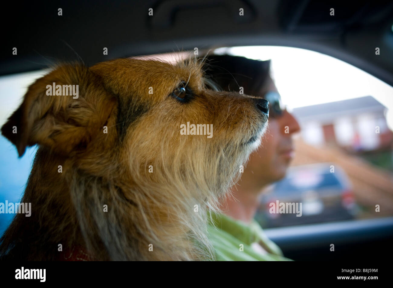 Rides owner hi-res stock photography and images - Alamy