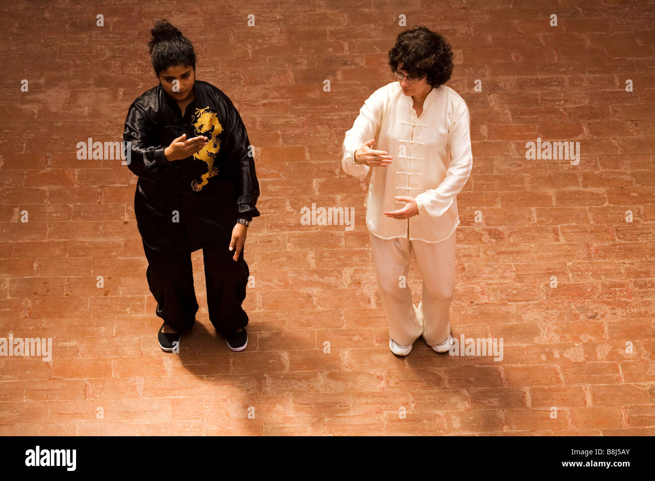 An Indian woman and an expat participate in a Tai Chi demonstration ...