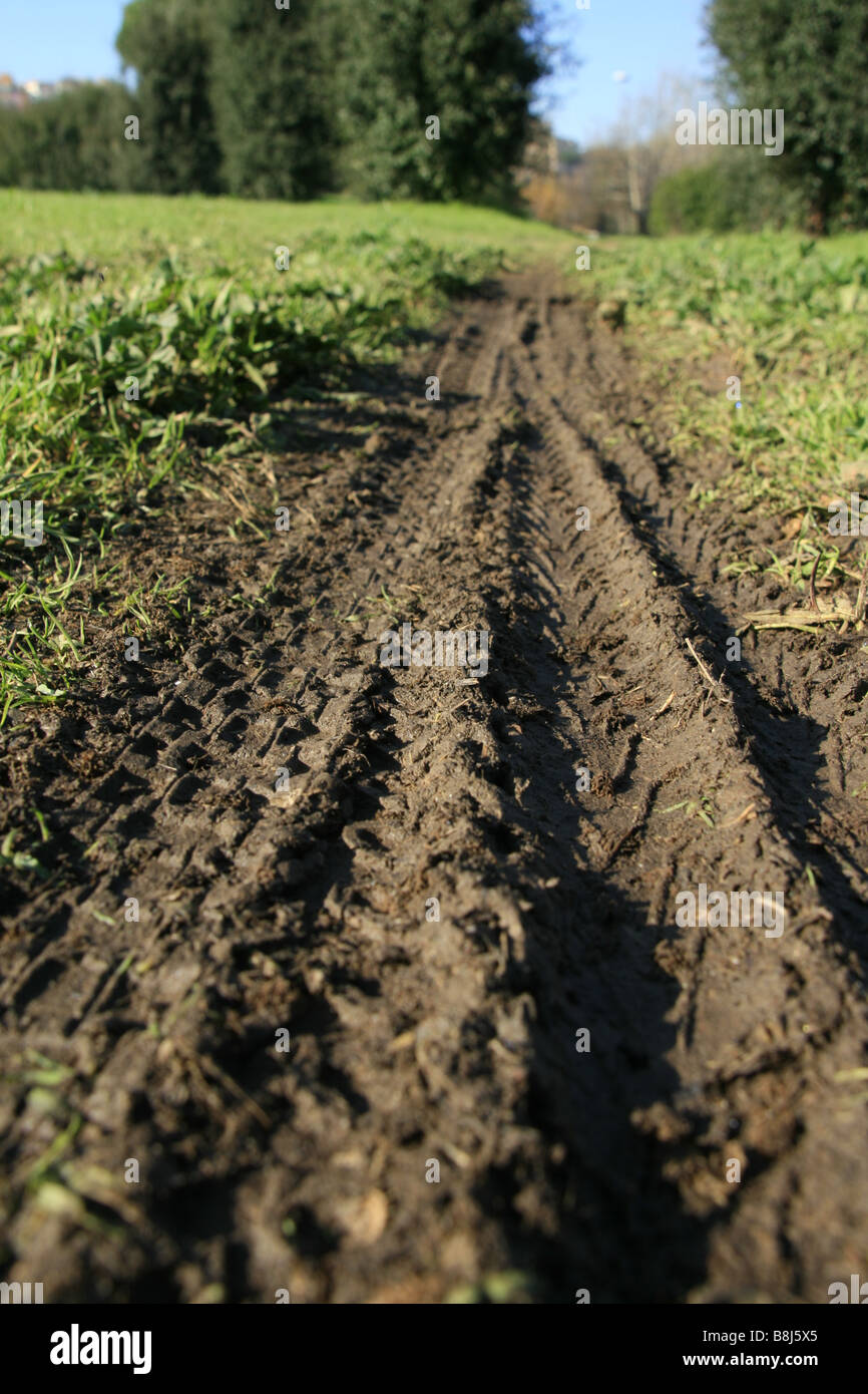 many bike tyre tracks crossing in mud in field in countryside Stock ...