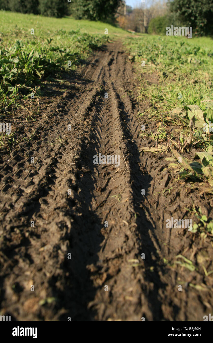 Tyre tracks crossing in mud hi-res stock photography and images - Alamy