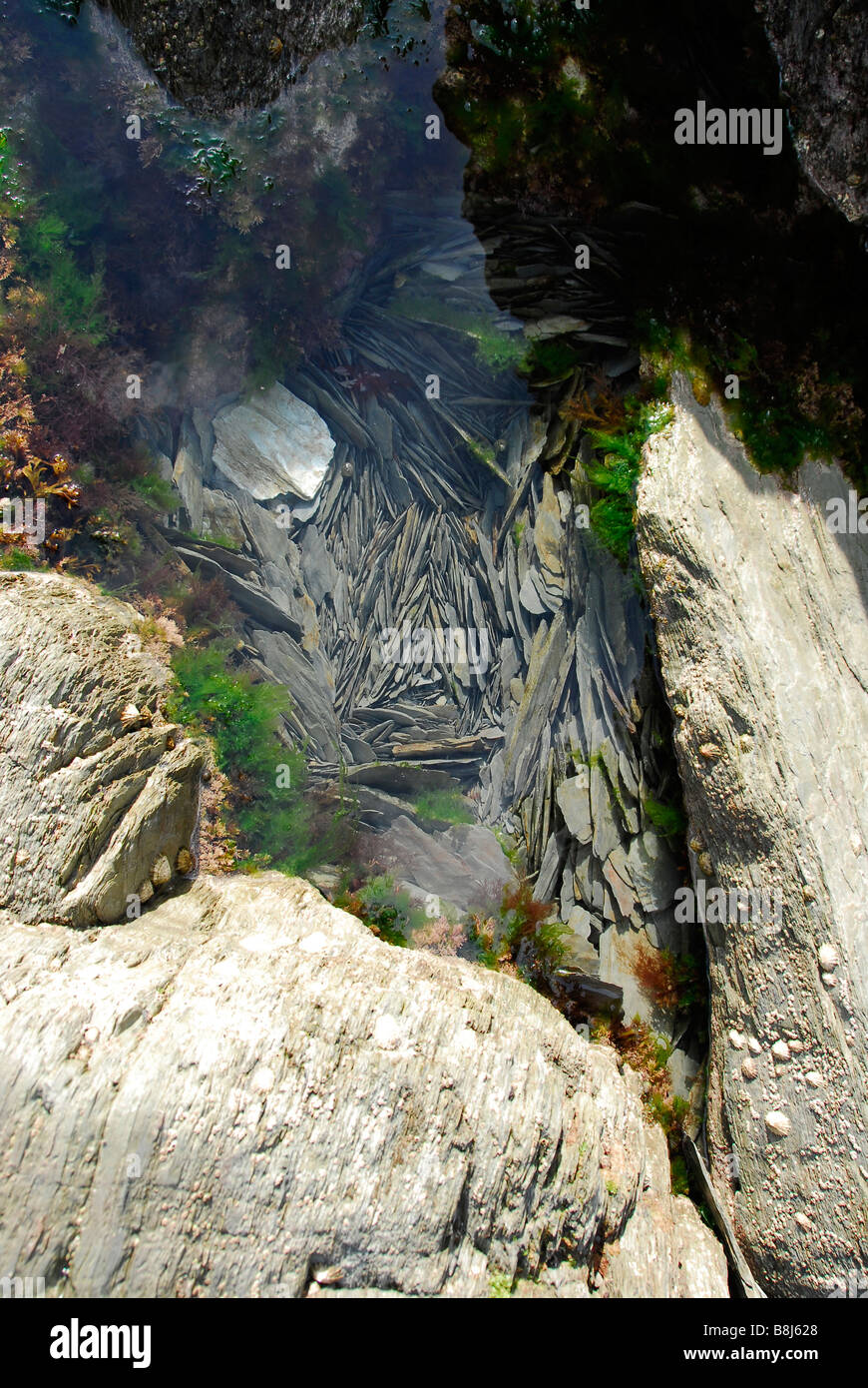 Rock pool in Woolacombe, North Devon, UK Stock Photo - Alamy