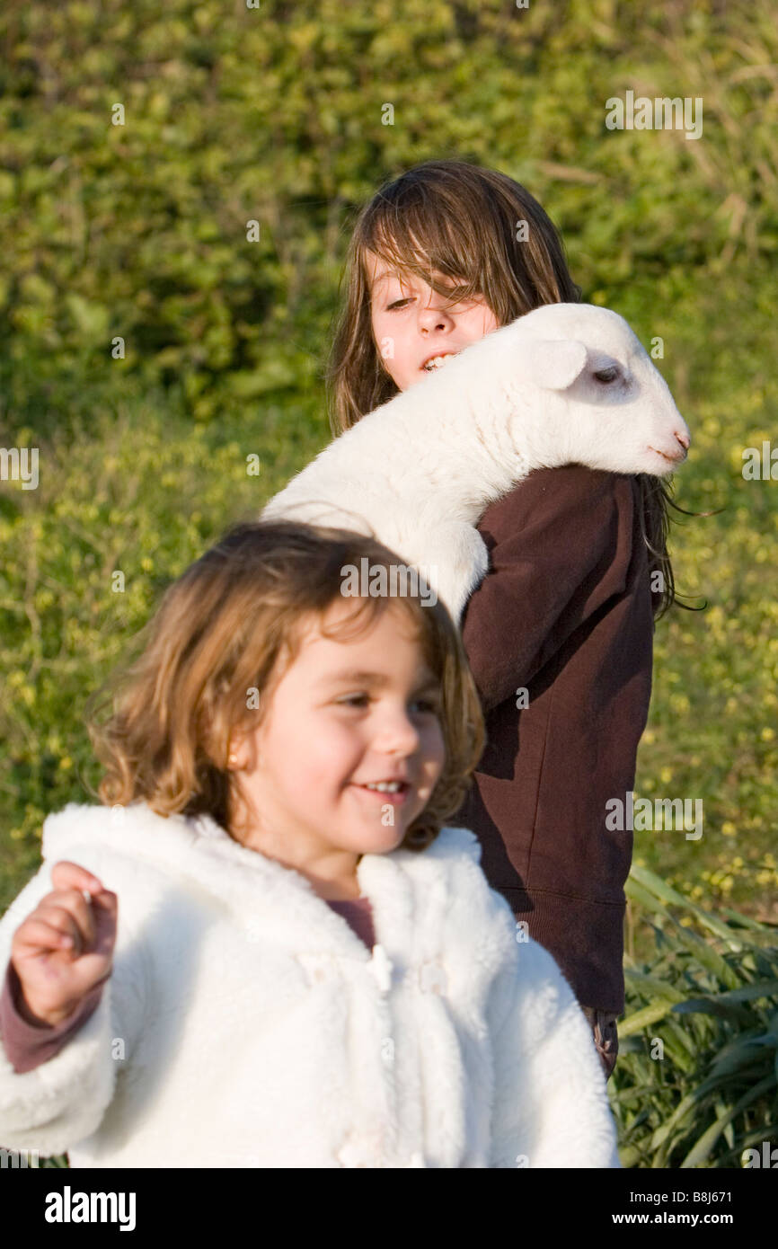 children playing with a sheep Stock Photo - Alamy