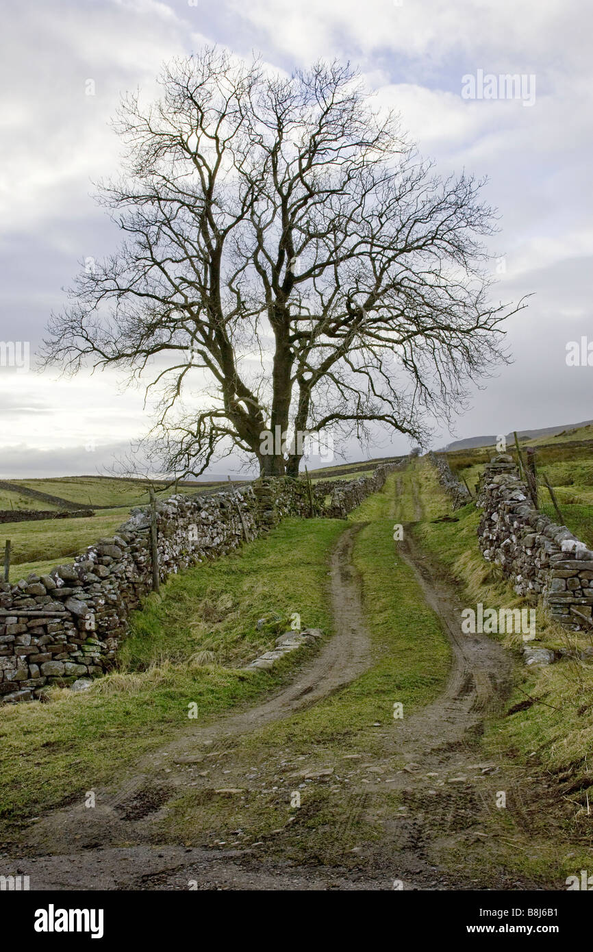 Farm on the moors hi-res stock photography and images - Alamy