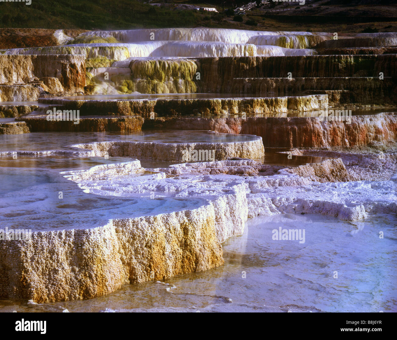 Limestone terraces Mammoth Hot Springs and Terraces Yellowstone ...