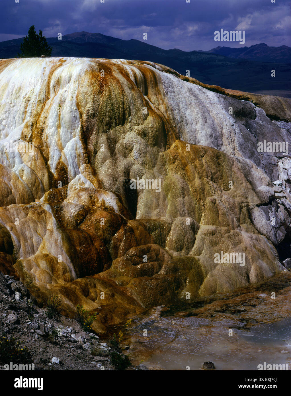 Limestone terraces Mammoth Hot Springs and Terraces Yellowstone ...