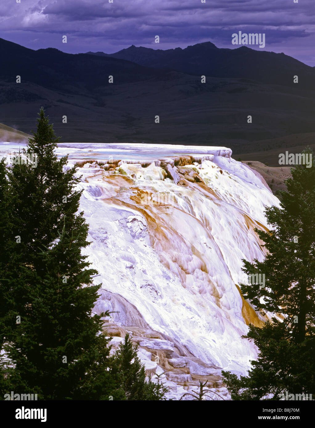 Limestone terraces Mammoth Hot Springs and Terraces Yellowstone ...