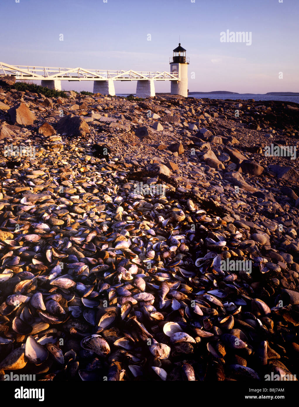 Marshall Headlight shells Maine USA Stock Photo - Alamy