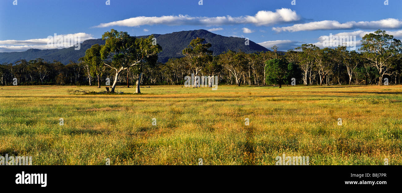 Farm paddock, Tasmania, Australia Stock Photo - Alamy