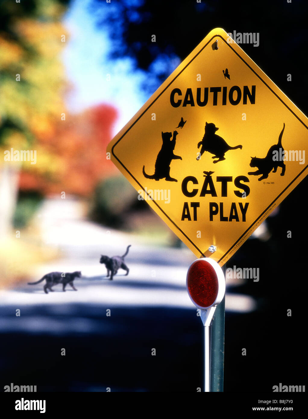 Cats signs hi-res stock photography and images - Alamy