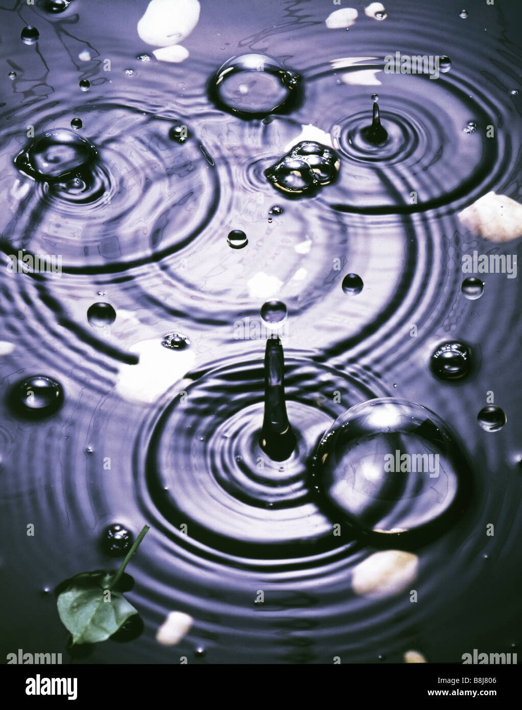 Rain paddle hi-res stock photography and images - Alamy