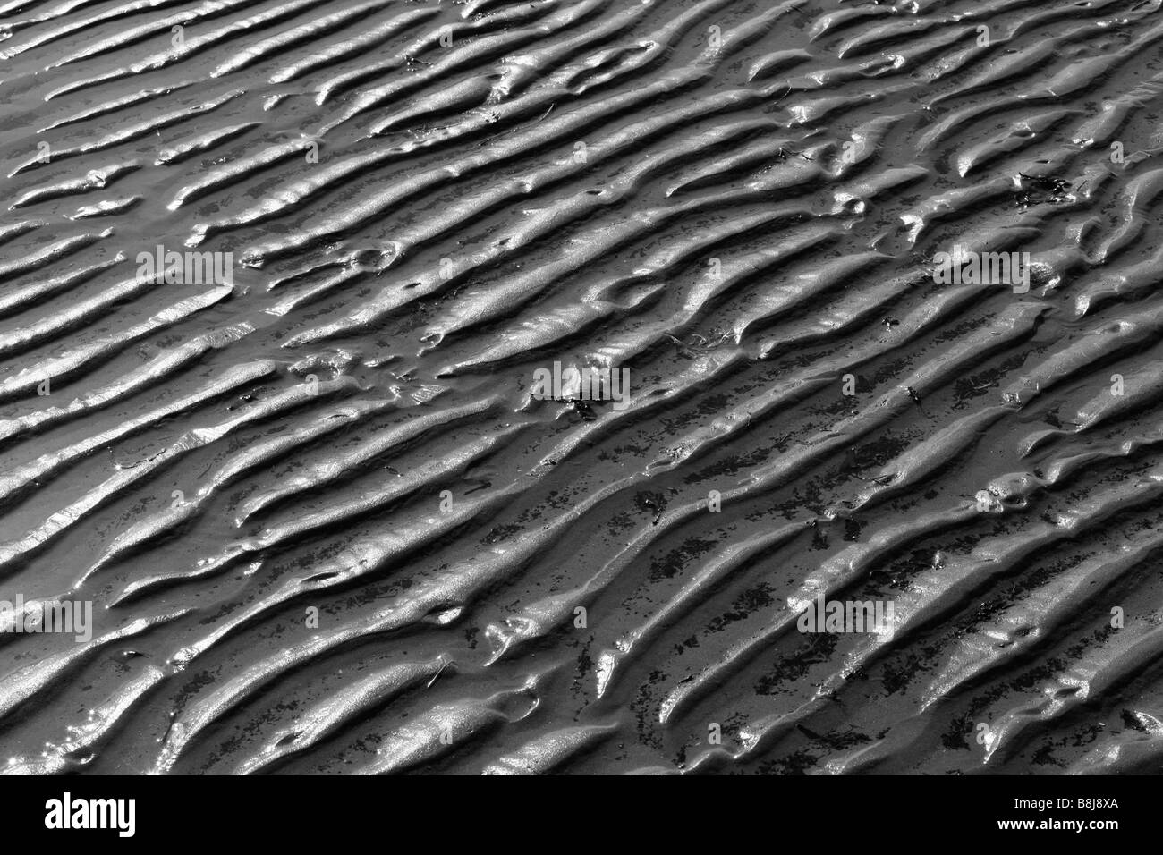 Sand ripples on beach hi-res stock photography and images - Alamy