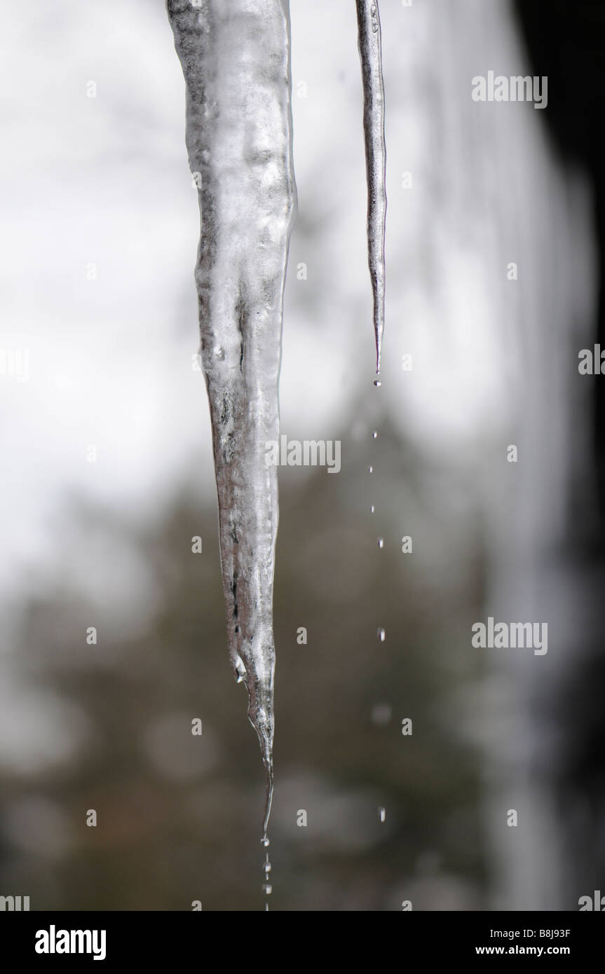 Melting Ice - 1 Stock Photo - Alamy