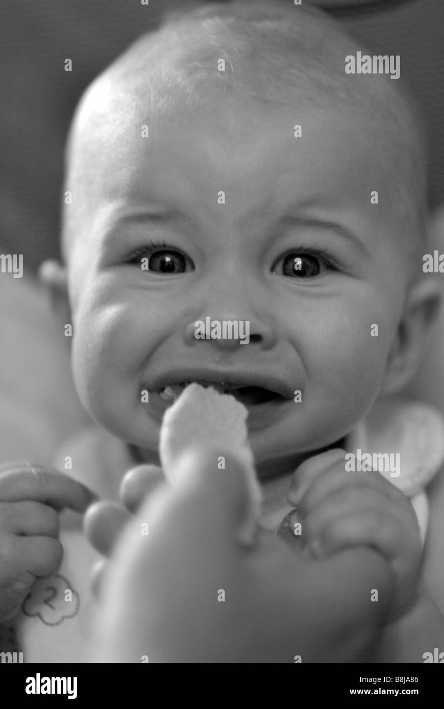 A bay boy is fed a piece of rusk by his father Stock Photo - Alamy