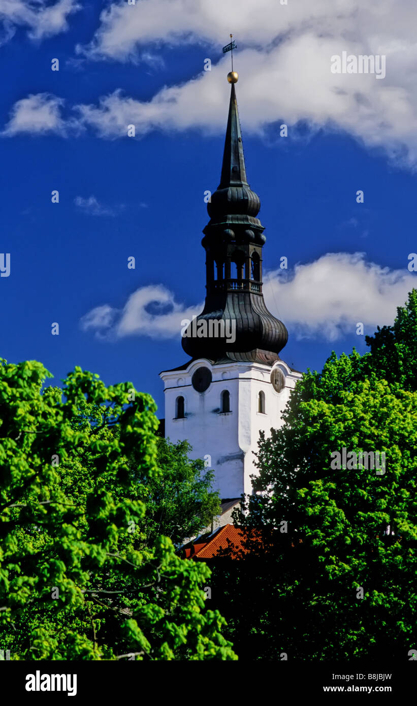 church spire rising above trees in Tallinn, Estonia Stock Photo - Alamy