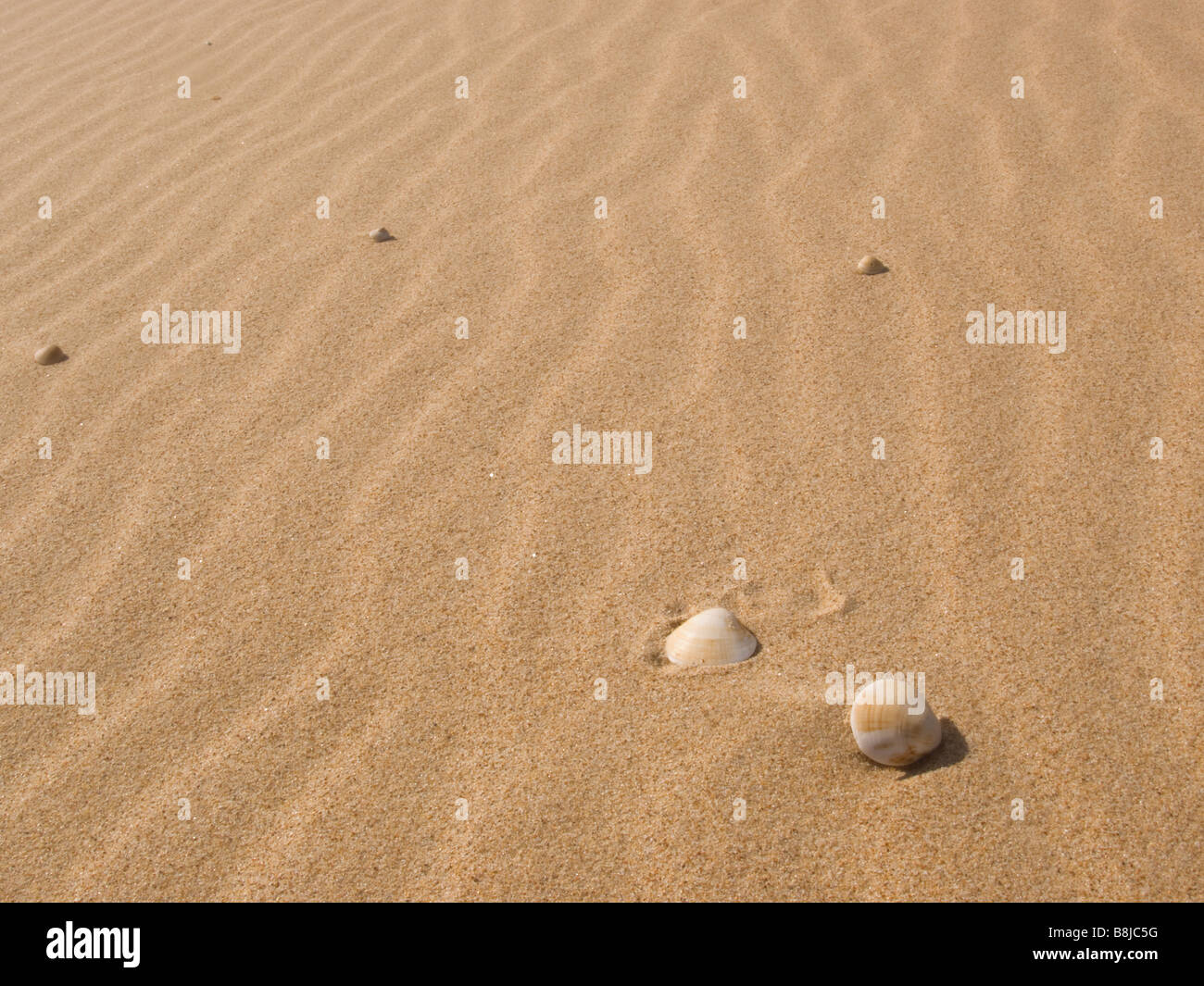 Tropical beach patterns hi-res stock photography and images - Alamy