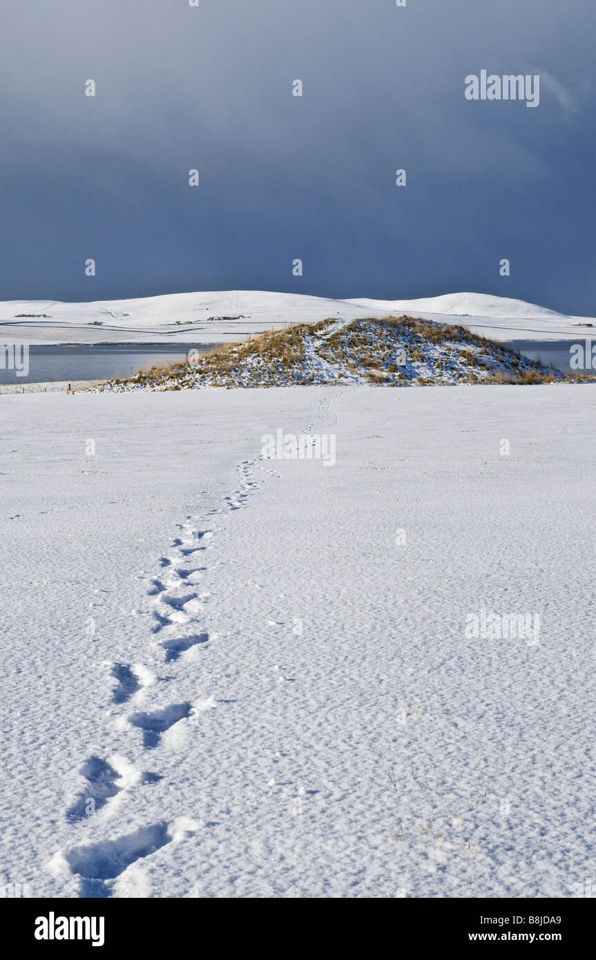 dh RING OF BRODGAR ORKNEY Footsteps in the snow to cairn mound at ...