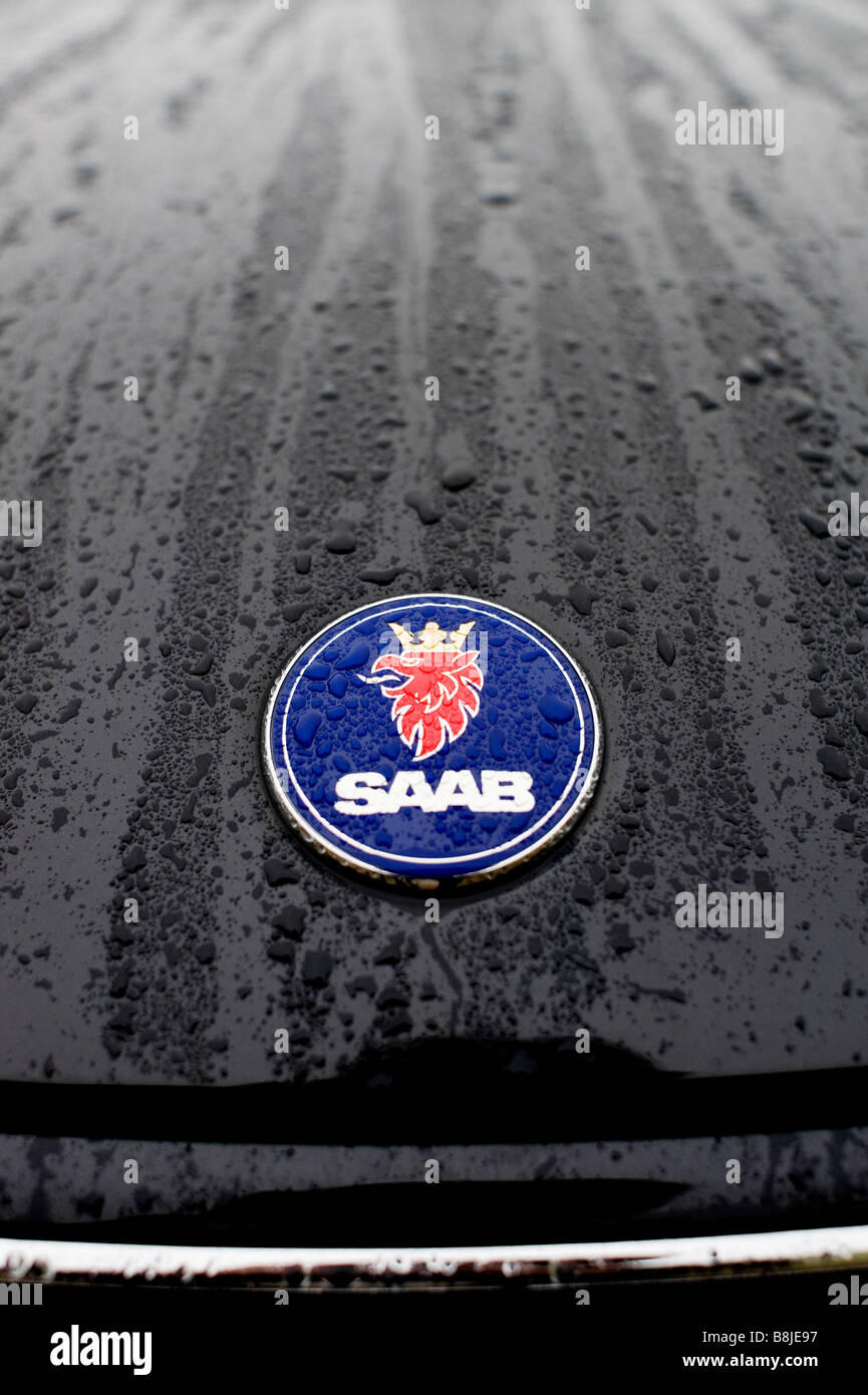 Saab Emblem In The Snow