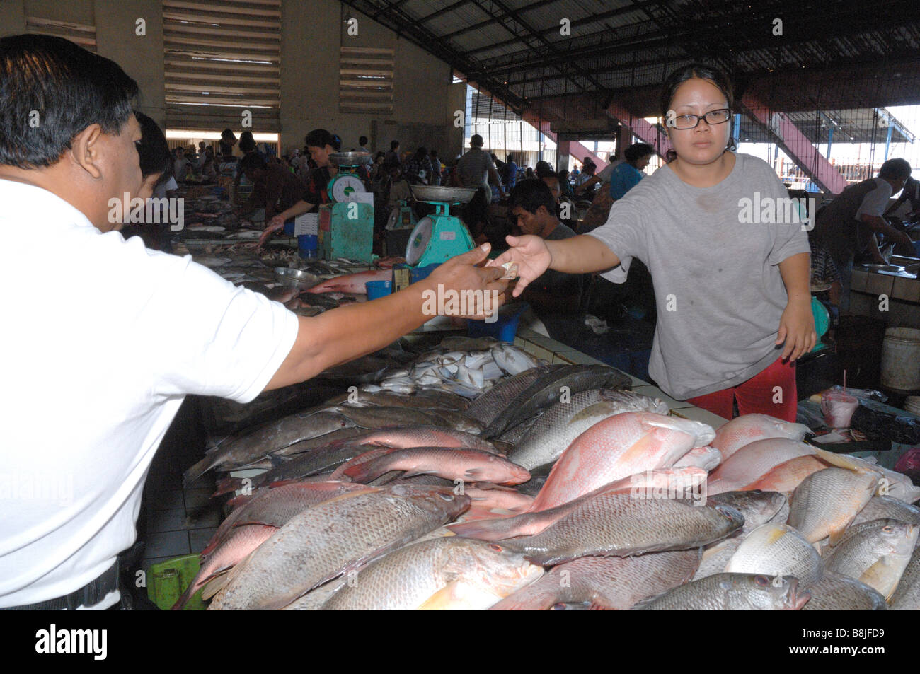 Fish for sale interior of SAFMA fish market Kota Kinabalu Sabah ...