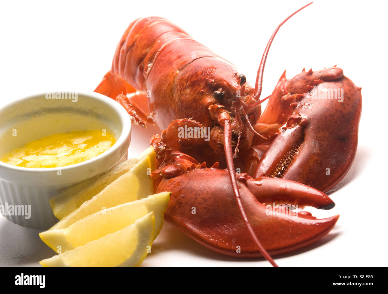 whole lobster with butter and lemon slices Stock Photo - Alamy