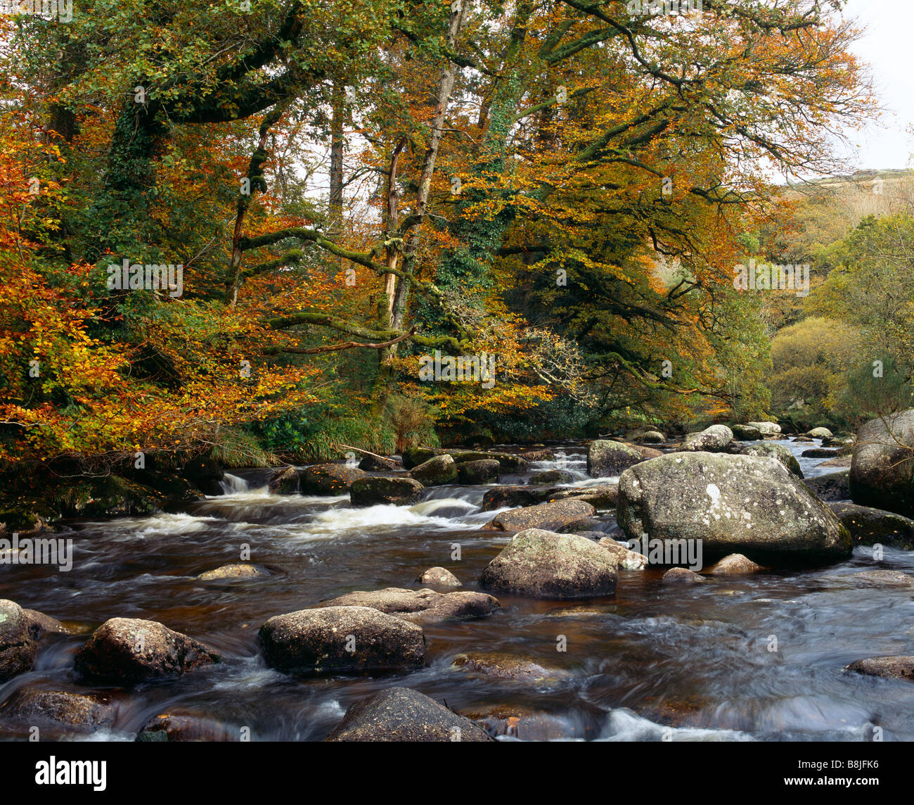 The East Dart River at Dartmeet in Dartmoor National Park, Devon ...