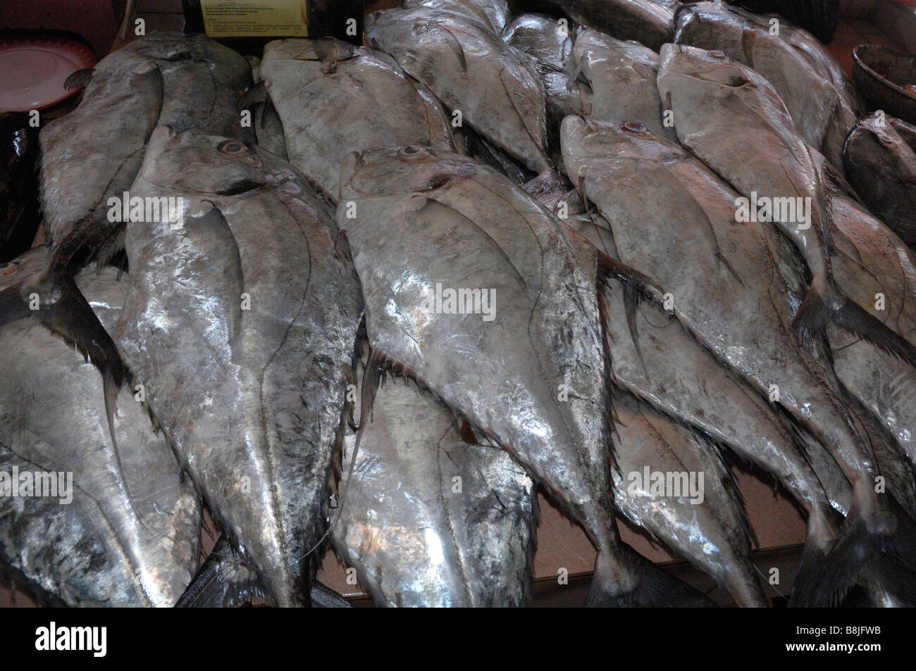 Fish for sale interior of SAFMA fish market Kota Kinabalu Sabah ...