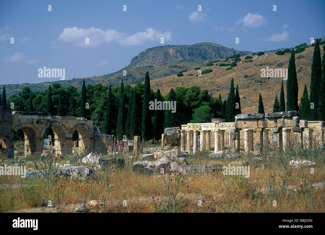 Hierapolis Roman city site Temple Archaelogical ruins Tall cyprus trees ...