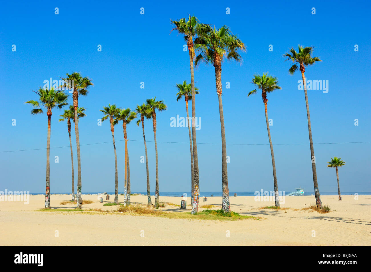 Venice Beach Palm Trees and Lifeguard House, Los Angeles CA Stock Photo ...