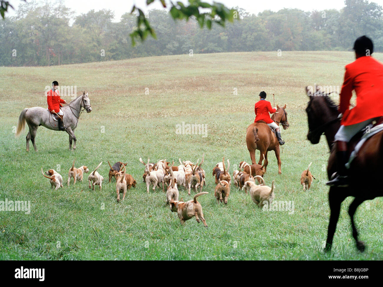 A scene from the first hunt of the season of the Metamora Fox Hunt club ...