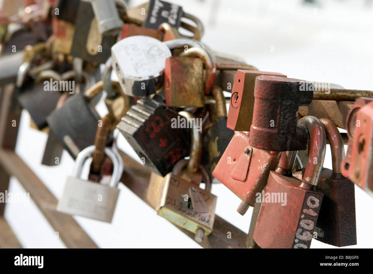 Closeup of many locked padlocks attached to each other according to ...