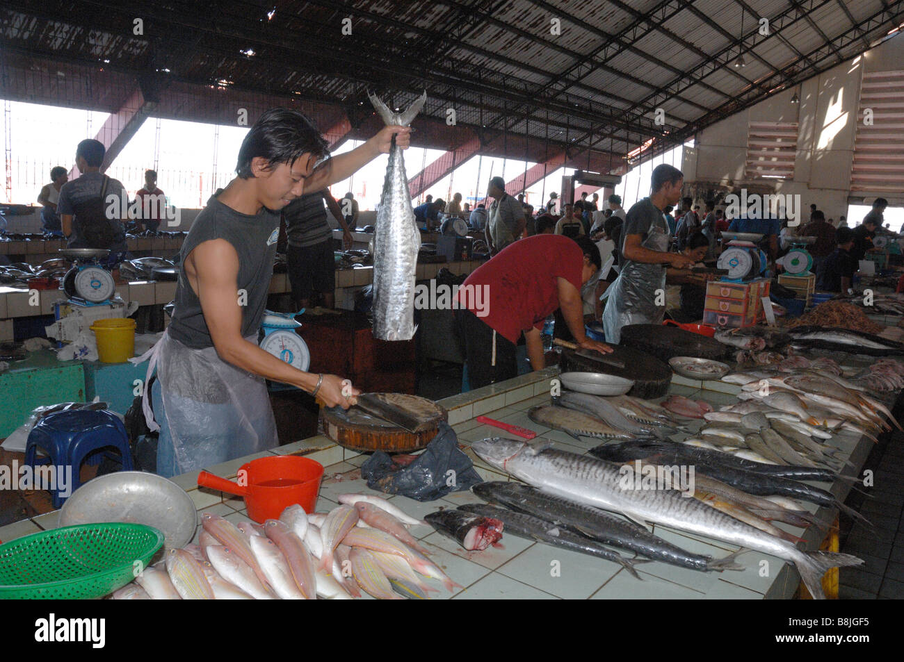 Fish for sale interior of SAFMA fish market Kota Kinabalu Sabah ...