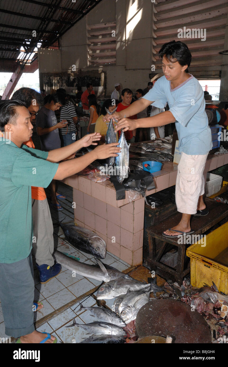 Fish for sale interior of SAFMA fish market Kota Kinabalu Sabah ...
