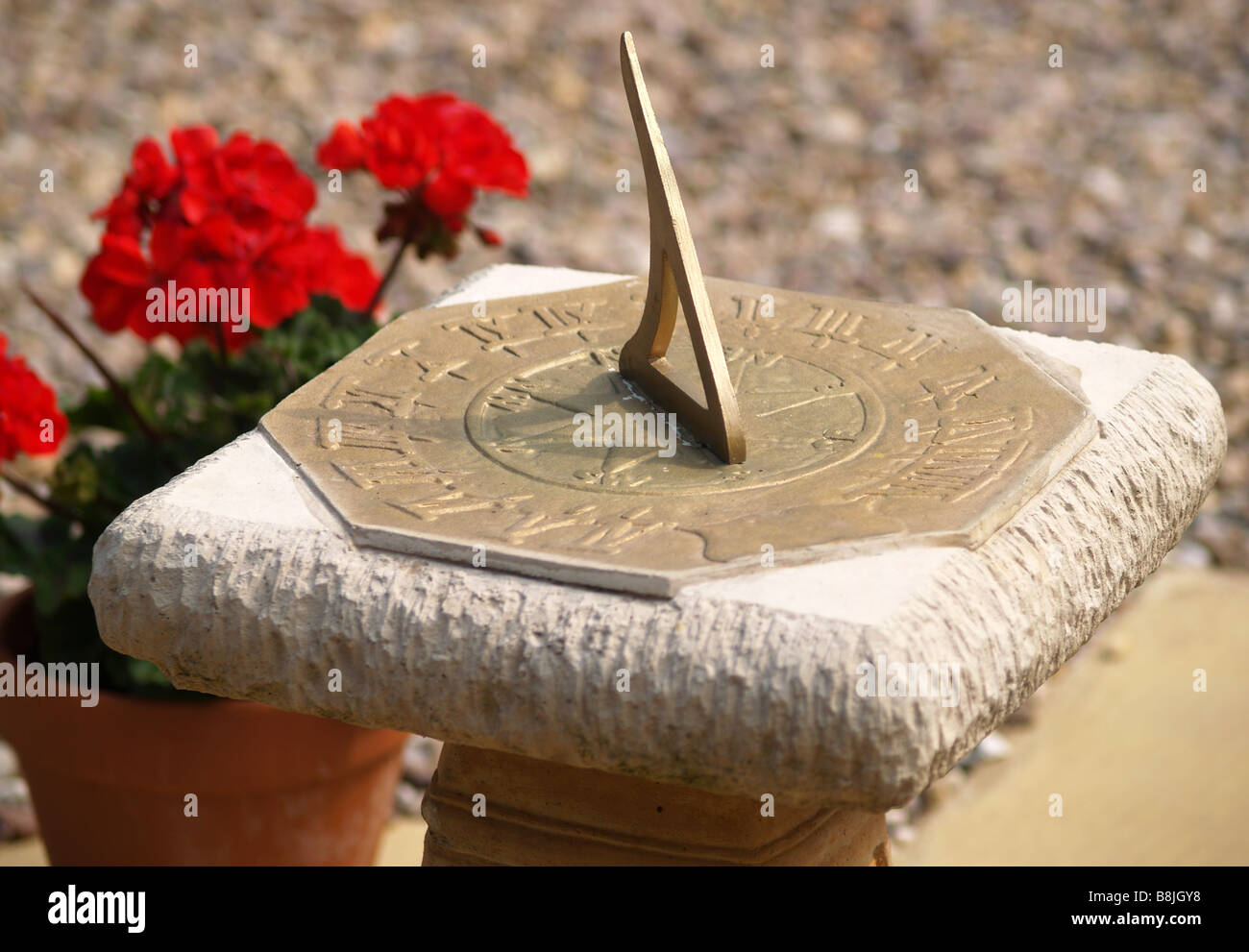 The top of a small garden sundial, with a pot of pretty geranium ...