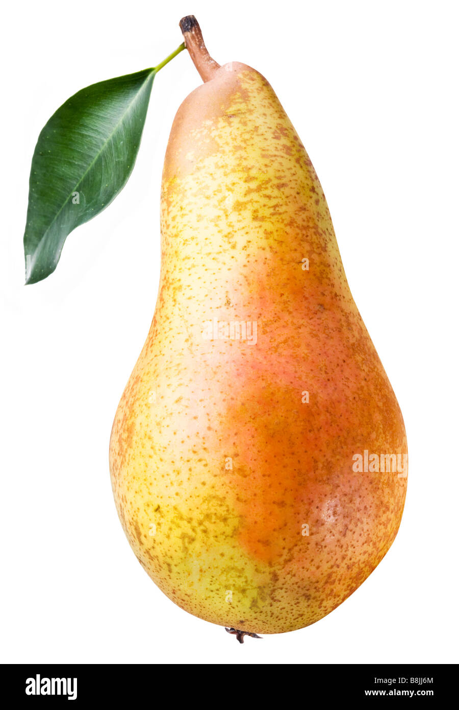 Pear hi-res stock photography and images - Alamy